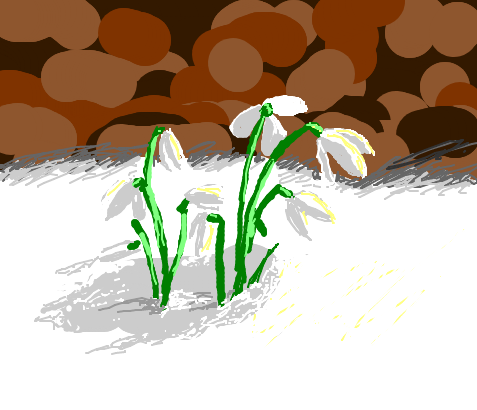 Interference - the drawing game