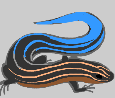 Interference - the drawing game